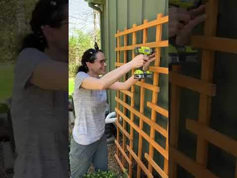 Diy Vertical Planter Wall Planter Shorts Diytipsworld